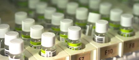 Stock Order Form | Austin Pathology